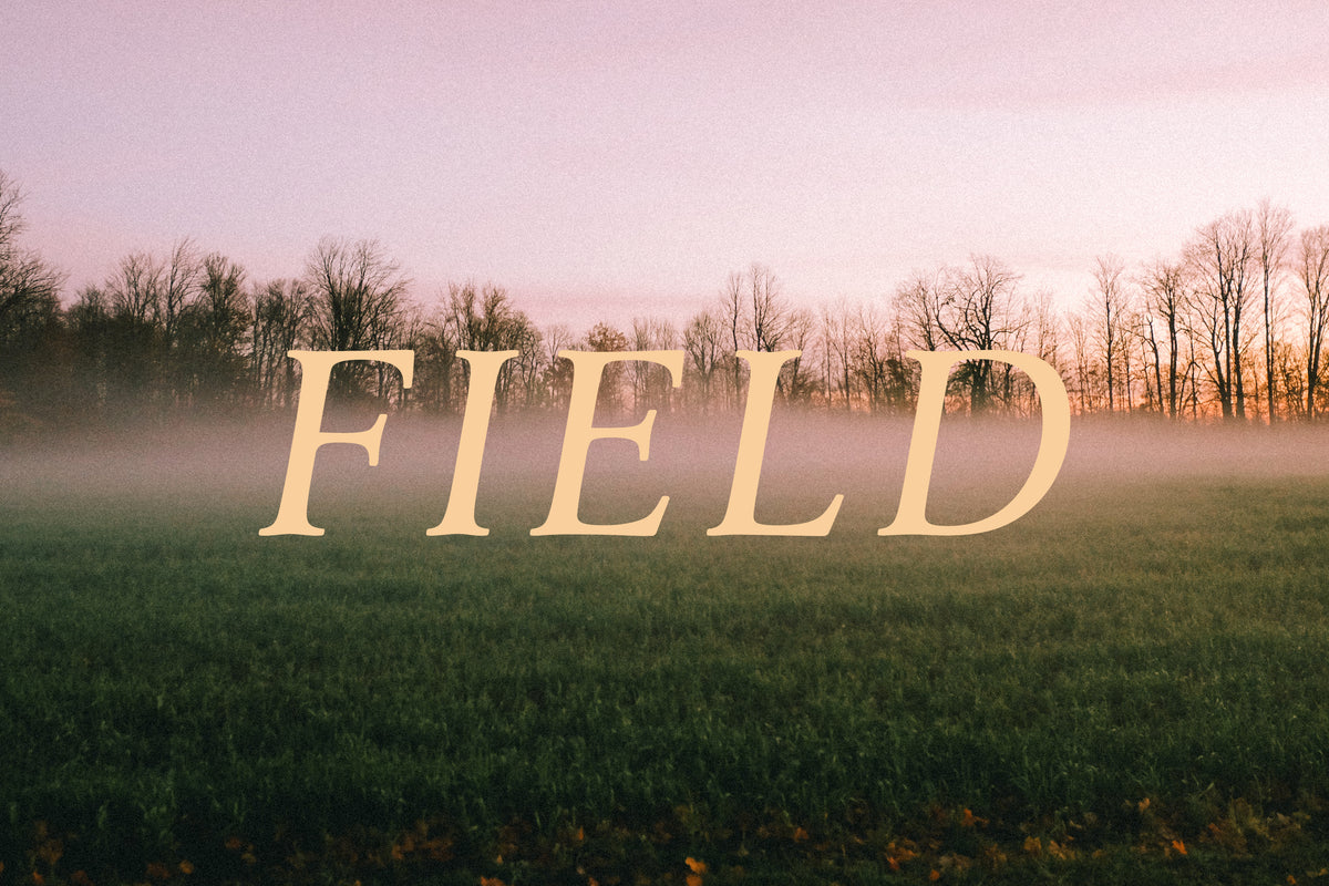 Field Studio